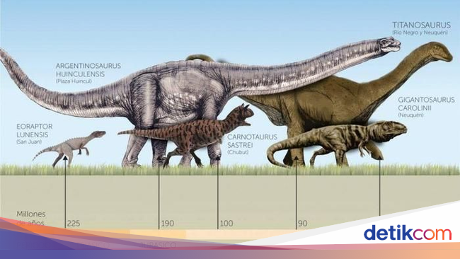 10 Dinosaurus Terbesar yang Pernah Hidup di Muka Bumi 10 Dinosaurus Terbesar yang Pernah Hidup di Muka Bumi