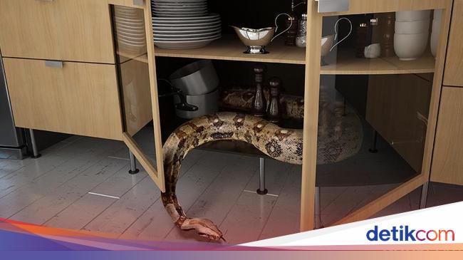 Doa Perlindungan dari Ular dan Hewan Berbisa, Lengkap dengan Artinya