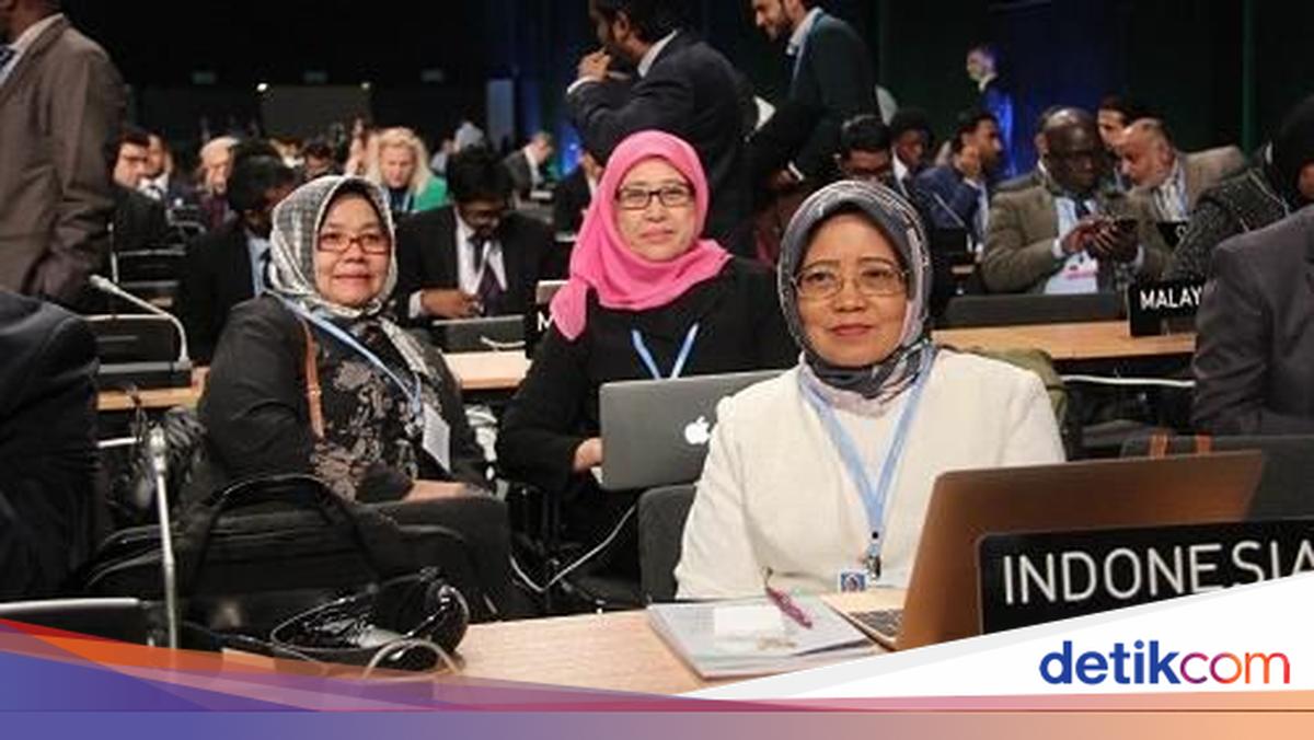 Di COP24, Indonesia Dorong Pedoman Transparansi Pelaksanaan NDC