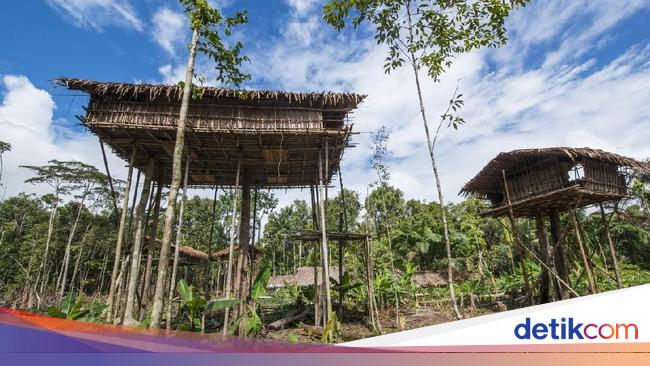 Kenapa Suku Korowai di Pedalaman Papua Tinggal di Rumah Pohon?