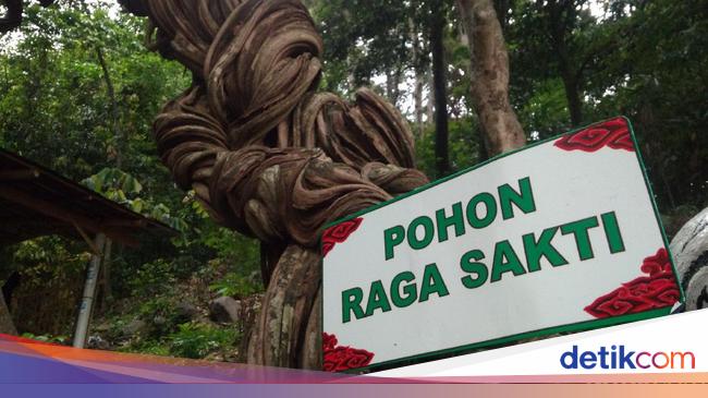 Raga Sakti, Pohon Keramat Peninggalan Pangeran Cakrabuana Raga Sakti, Pohon Keramat Peninggalan Pangeran Cakrabuana