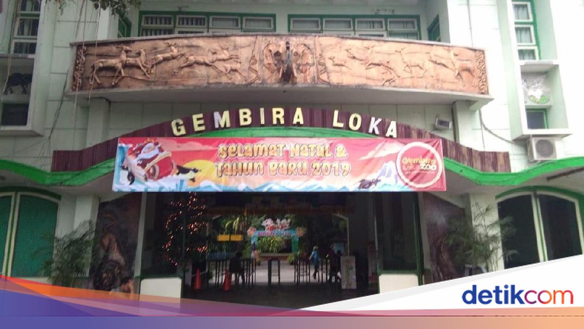 Harga Tiket Gembira Loka Zoo dan Daftar Satwanya, Cocok untuk Liburan ...