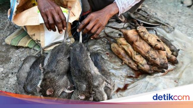Di Pasar Ini Daging Tikus Lebih Populer dari Daging Ayam