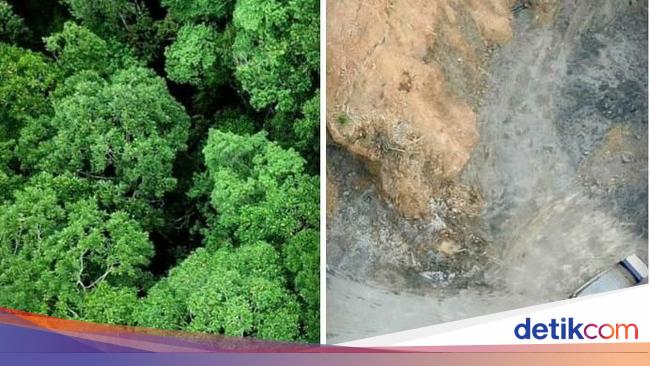 Potret Alam #10yearchallenge yang Menyayat Hati