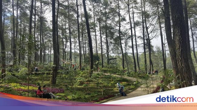 Orchid Forest Cikole: Jam Buka, Tiket Masuk, Hingga Fasilitasnya
