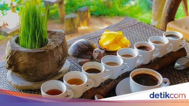 Kopi Indonesia Kian Populer, Petani Kopi Sudah Makmur?