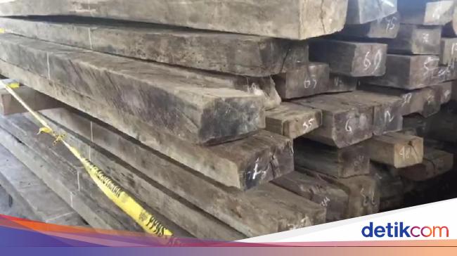 Kasus Kayu Ilegal Asal Papua Senilai Rp 100 M Segera Disidangkan