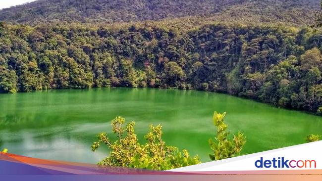 5 Fakta dan Mitos Danau Tolire yang Dihuni Buaya Putih, Benarkah?