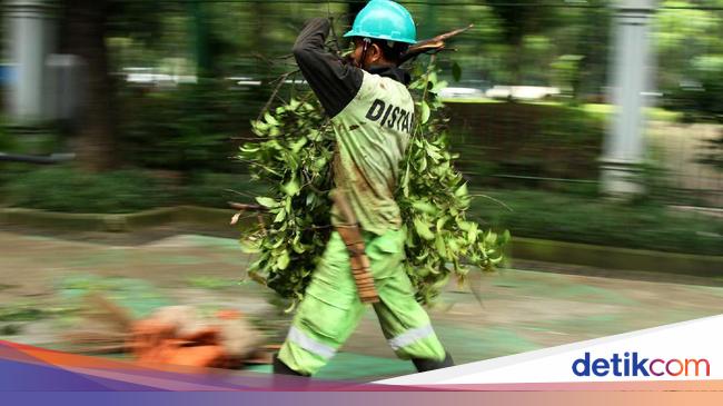 Kalender Jawa Selasa Pahing 20 Juni 2023: Hindari Memangkas Pohon