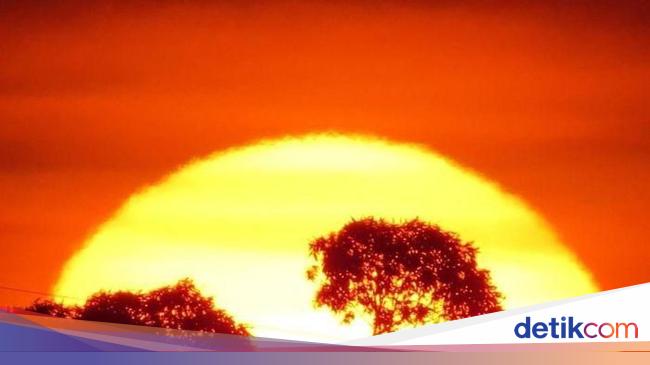 Musim Panas di Australia Tahun Ini Paling Panas Sepanjang Sejarah