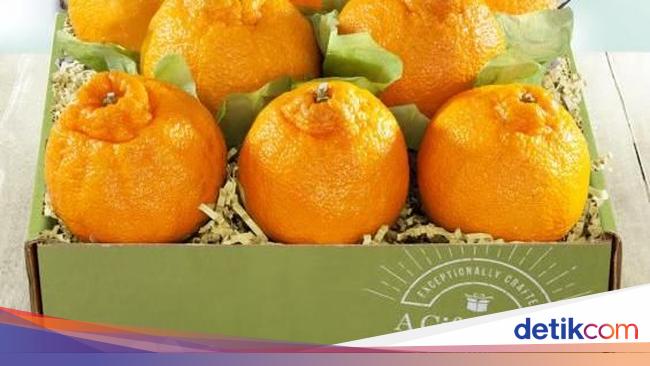 'Sumo Citrus', Jeruk Berukuran Jumbo Tanpa Biji yang Manis Segar