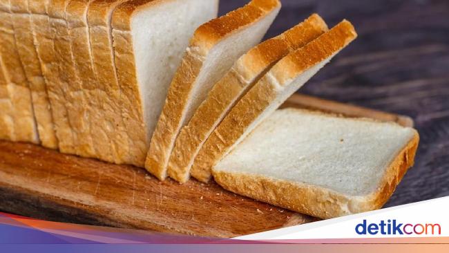 Lihat Perubahan Potongan Roti Jika Didiamkan Selama 16 Hari