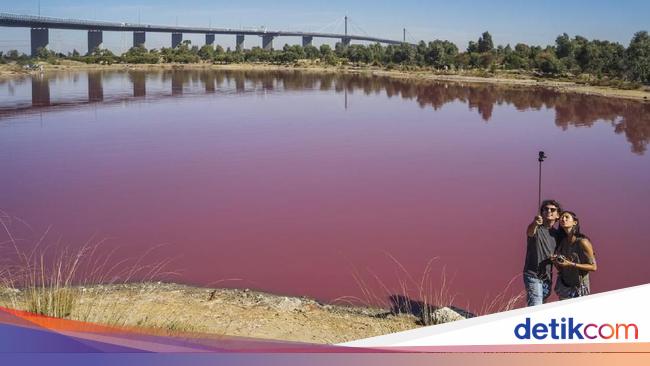 Danau Pink yang Cantik, Tapi Tak Boleh Disentuh