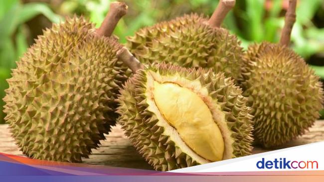 Durian Si Boneng Tanpa Biji dari Banyuwangi yang Jadi Buruan Wisatawan