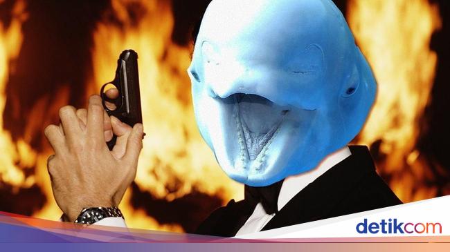 Hewan yang Menjadi Mata-mata, Paus Beluga, Kucing Hingga Kelelawar