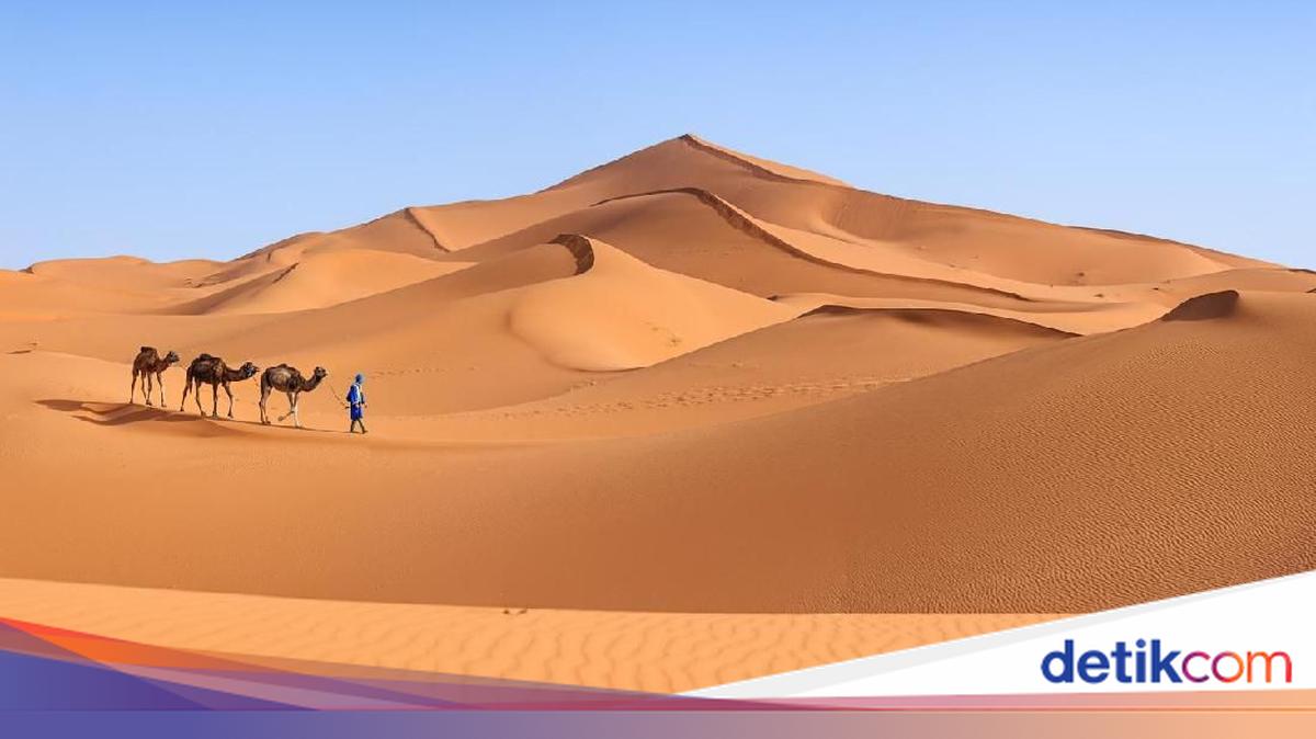 Sahara Letaknya di Mana? Begini Kondisinya sebagai Gurun Panas Terbesar ...