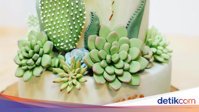 Keren! Kue Kaktus dan Sukulen Ini Persis Aslinya