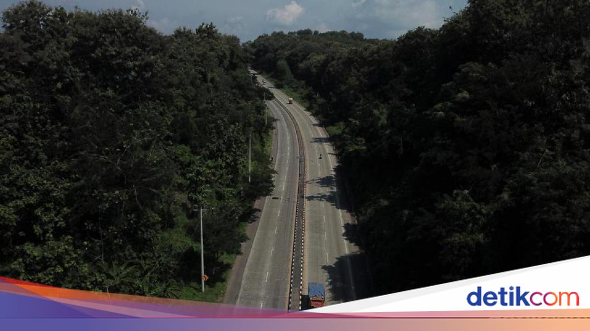 Jalan Alas Roban, Jalur Angker di Batang yang Ternyata Kaya Beragam Buah