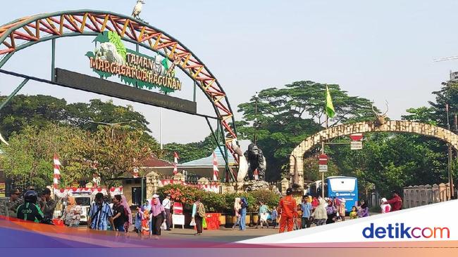 Akses Masuk Ragunan dari Pintu Utara dan Pintu Barat, Cek Infonya!