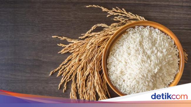 Beras Adan Krayan yang Pulen dari Kalimantan Jadi Favorit Sultan Brunei!