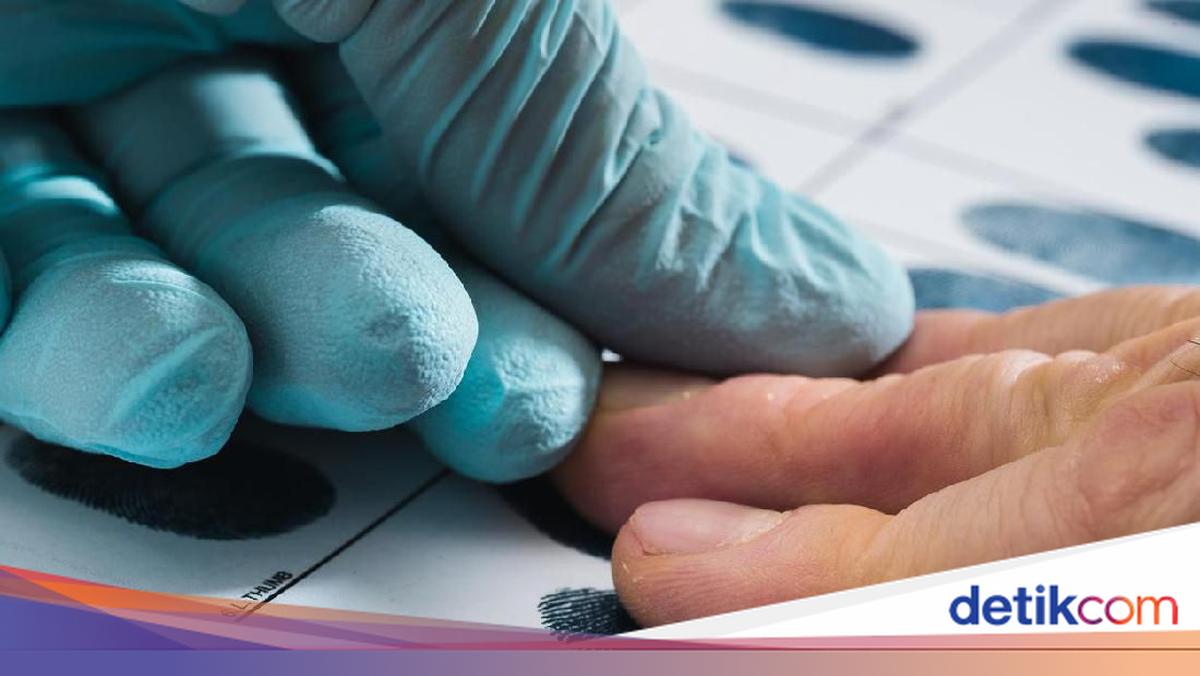 Apa itu Tes STIFIn? Ini Manfaat dan Tipe Kepribadiannya