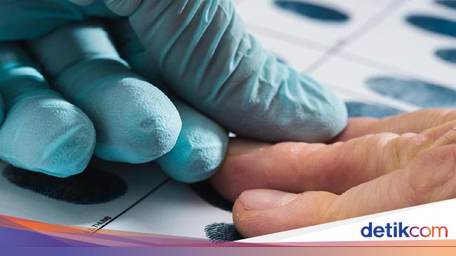 Apa itu Tes STIFIn? Ini Manfaat dan Tipe Kepribadiannya