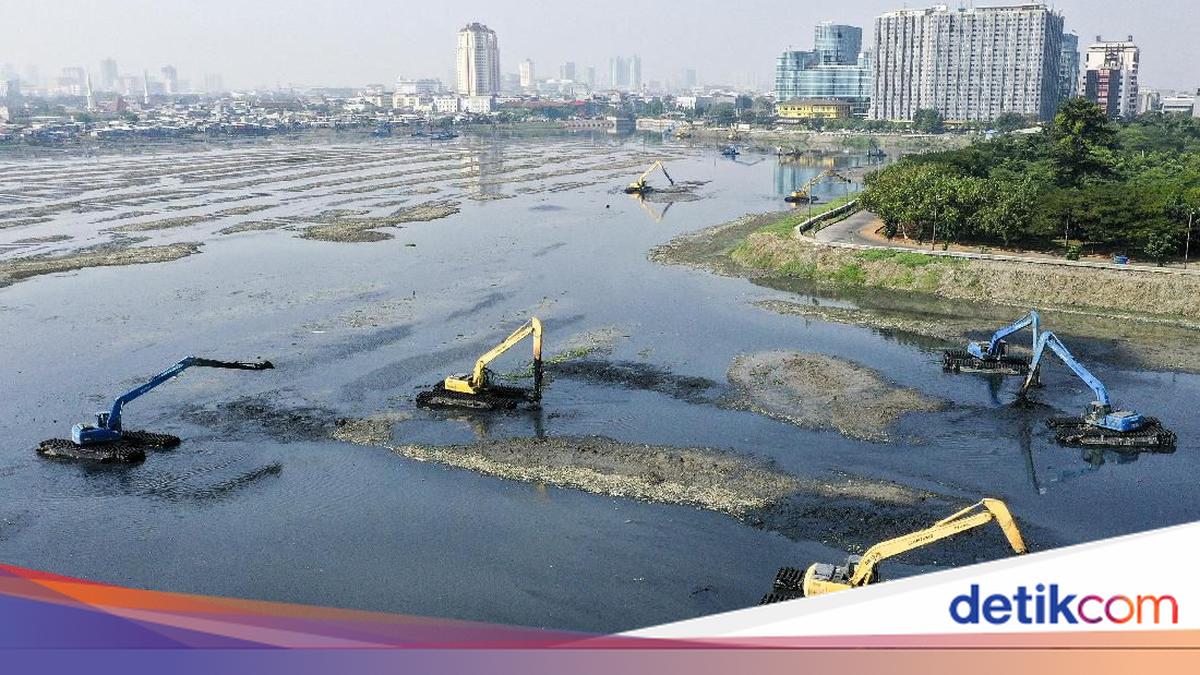 Mengenal Proses Sedimentasi, Jenis-Jenis hingga Contohnya