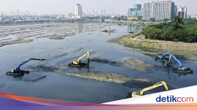 Mengenal Proses Sedimentasi, Jenis-Jenis hingga Contohnya