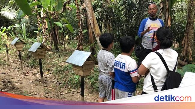 Lebah Hama di Magelang Kini Hasilkan Cuan Menggiurkan