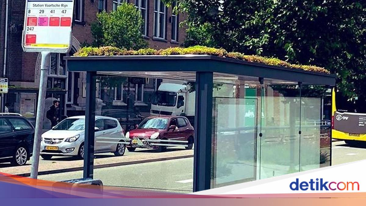 Wow! Atap Halte Bus Ini Disulap Jadi Taman Kecil