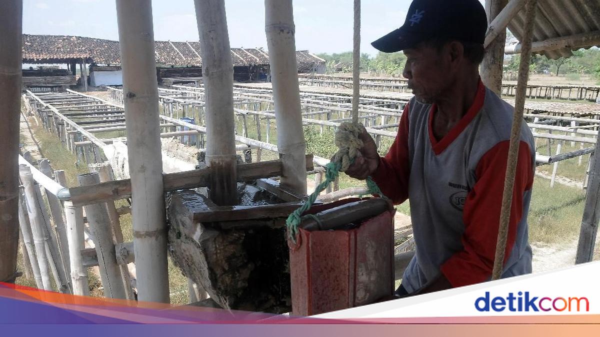 Unik! di Grobogan Ada Sumur Penghasil Garam, Ada Sejak Zaman Belanda