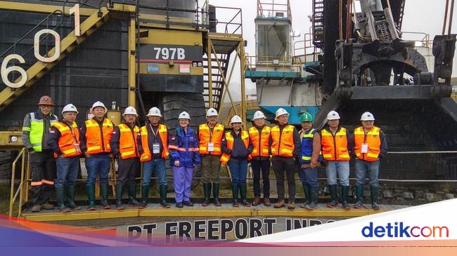 Lowongan Kerja Freeport Dibuka untuk Lulusan S1-S2, Ini Jurusan yang Dicari