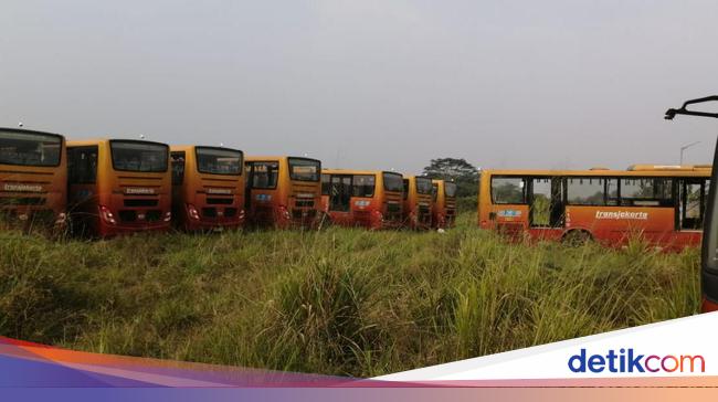 Dishub DKI Telusuri Ratusan Bus Bertulisan 'TransJakarta' Teronggok di ...