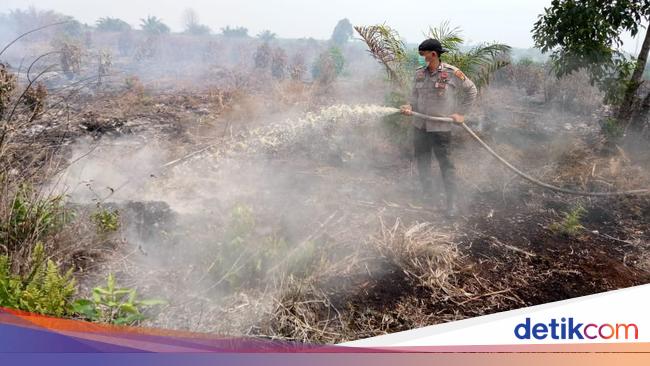 85 Titik Api Masih Ada di Sumatera, Paling Banyak di Riau