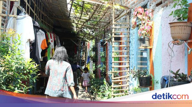 Kampung Hidroponik Cimone, Kesejukan di Tengah Polusi Kota Tangerang