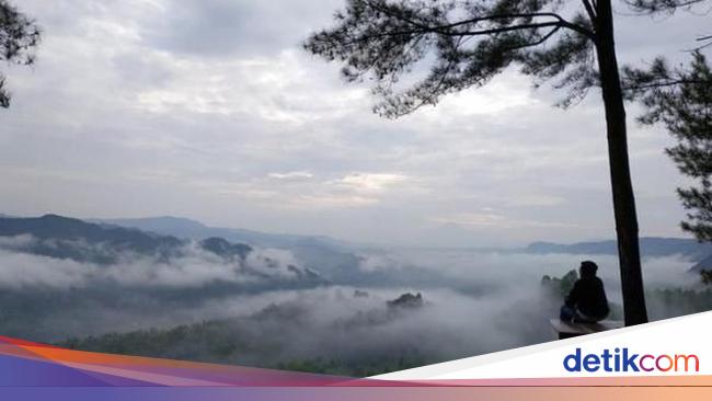 10 Tempat Wisata di Kebumen yang Hits dan Wajib Dikunjungi