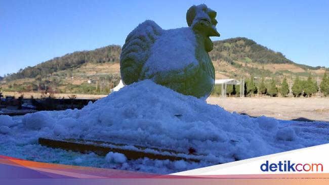 Suhu di Dieng Anjlok Hingga Minus 11 Derajat, Embun Es Makin Tebal