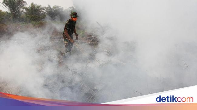 Sebaran Asap Karhutla RI Meluas, Belum Masuk ke Singapura-Malaysia