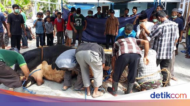 Tata Cara Berkurban yang Baik dan Benar Sesuai Syariat Islam