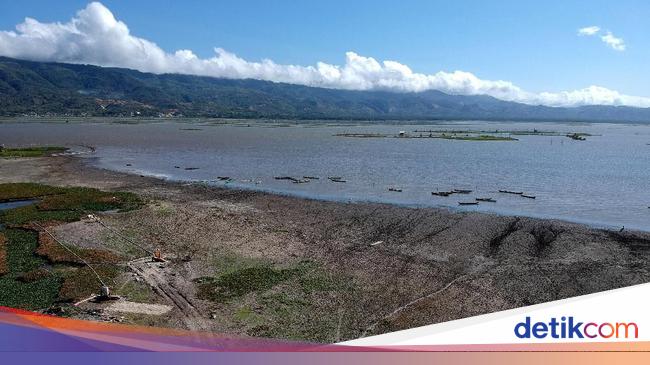 Potret Danau Limboto di Gorontalo yang Mulai Mengering