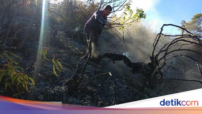 Hutan Di Lereng Gunung Sumbing Wonosobo Terbakar