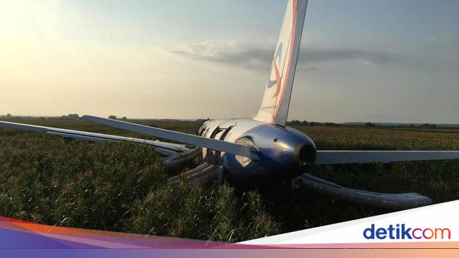 Kenapa Pesawat Bisa Retak hingga Rusak Jika Ditabrak Burung?