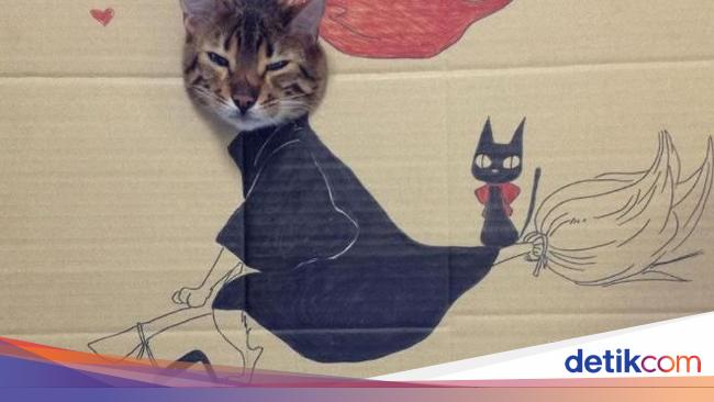 Kreatif! Ketika Si Kucing Cosplay Pakai Kardus
