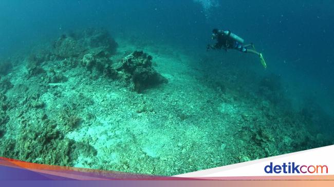 Kerusakan Terumbu Karang di Makassar, Ini Kata Peneliti Laut