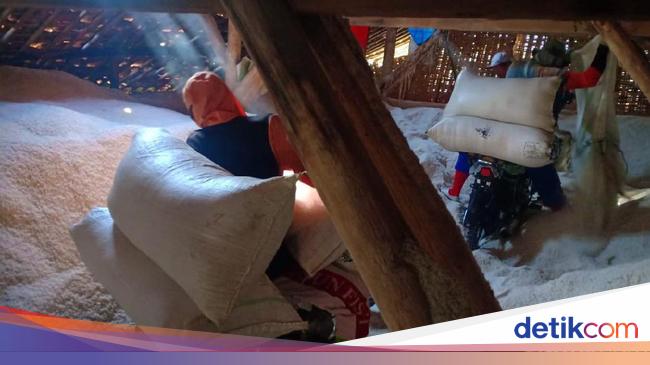 Harga Garam Anjlok, Petani di Rembang Pilih Timbun Hasil Panen