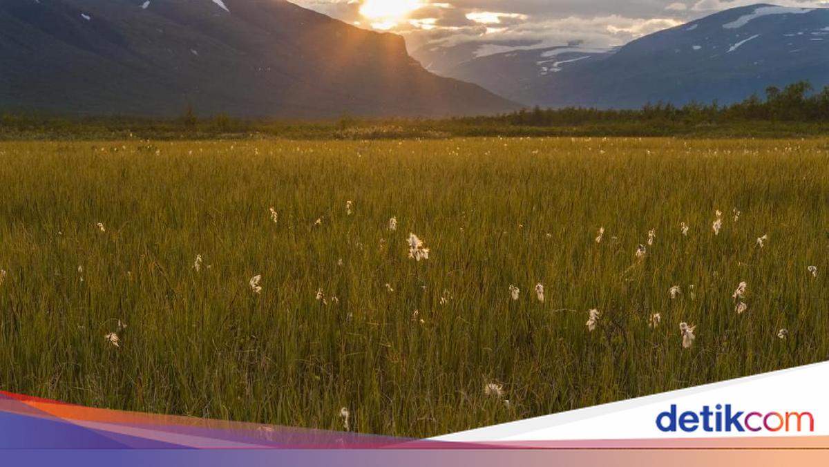 Potret Cantik Lanskap Gunung Swedia yang Ketinggiannya Terus Menurun