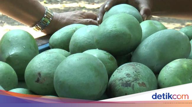 Kalender Jawa Selasa Kliwon 4 April 2023: Waktunya Panen Buah