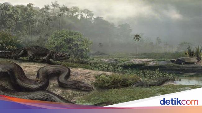 Titanoboa, Ular Purba Raksasa yang Lebih Besar dari Raja Piton
