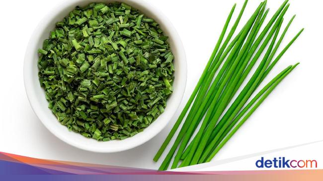 5 Perbedaan Daun Bawang, Bawang Daun, Bawang Prei, Loncang, dan Kucai
