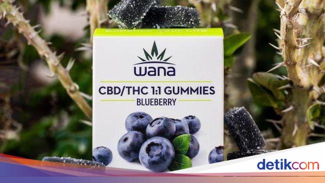 Kisah Ganja dan Makanan, Mulai dari Permen hingga Kafe Ganja Legal